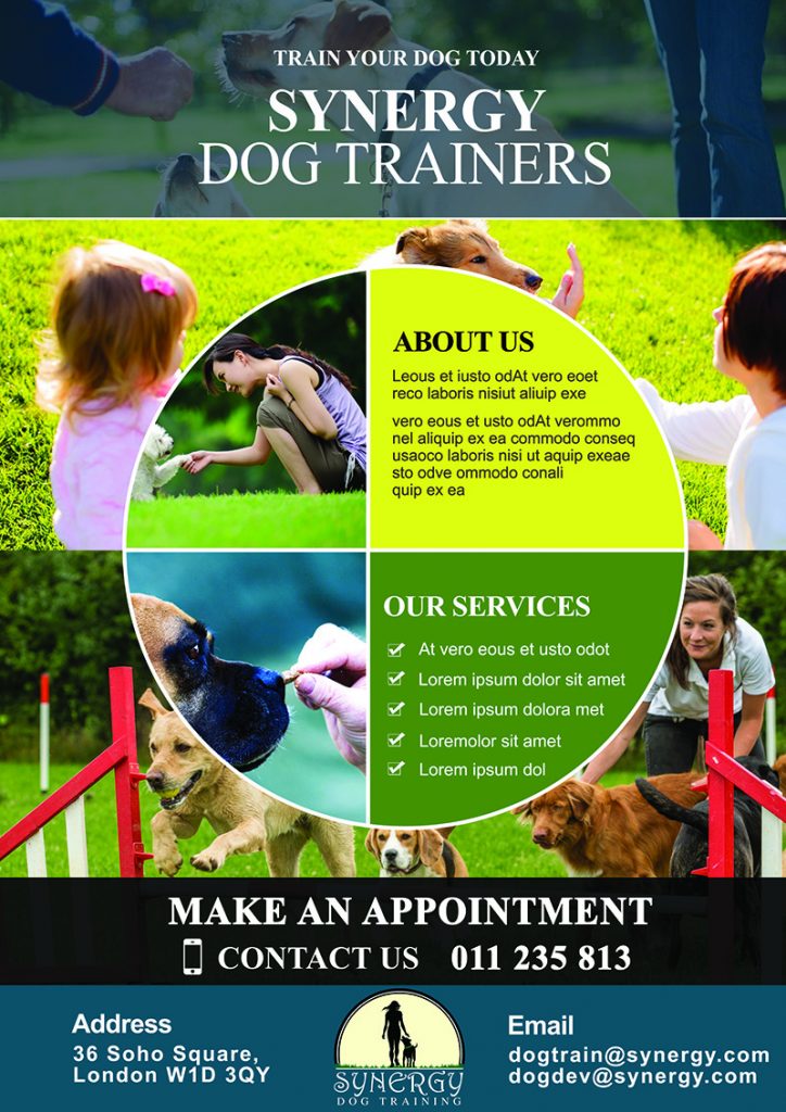 Dog Training – Business Flyers